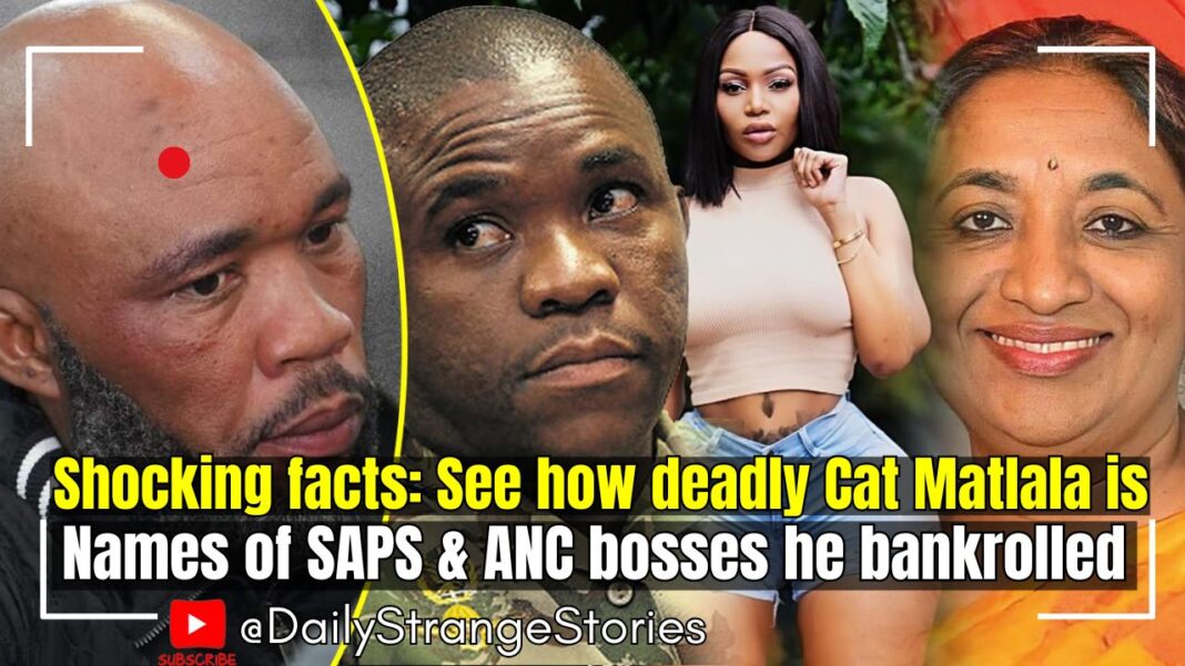 Tebogo Thobejane’s Explosive Testimony: Vusi “Cat” Matlala Linked to ...