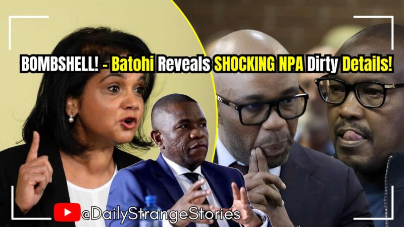 Big 5 Cartel Criminals Inside The NPA: Shamila Batohi's EXPLOSIVE ...